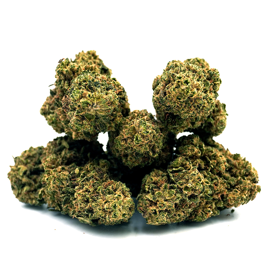 Cookie [Indoor] - Le Grossiste CBD