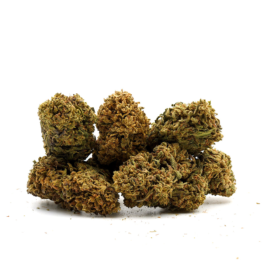 Gelato [Greenhouse] CBD Wholesale - Wholesale CBD